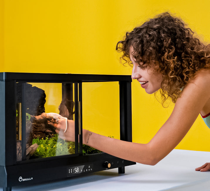 EKULLA Smart Reptile Terrarium Enclosures: City Pet - Series – Ekulla